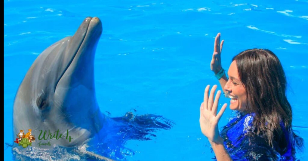 Top 12 Humble Animals in the World