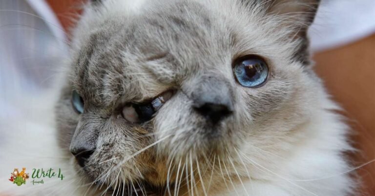 Top 12 deformed animals